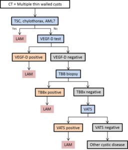 Diagnosing LAM - The LAM Foundation