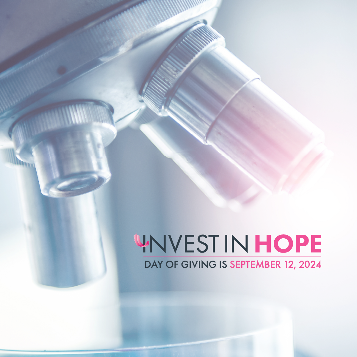 Home - The LAM Foundation