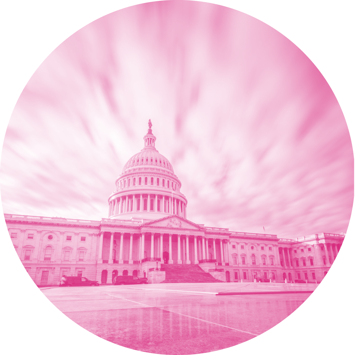 Advocate - The LAM Foundation